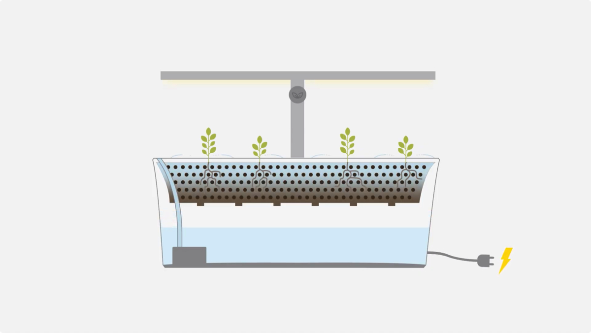 水やり手間いらずですくすく育つ？ スマート家庭菜園「Botanium Vega」 - bouncy / バウンシー
