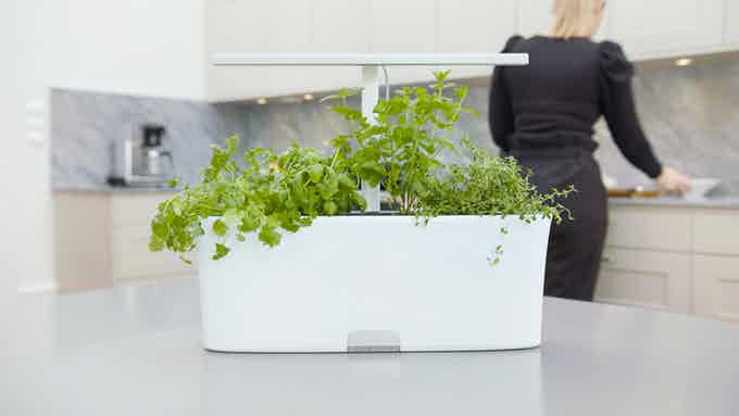 自宅で気軽に家庭菜園、自動給水の水耕栽培キット「Botanium Vega」 - bouncy / バウンシー