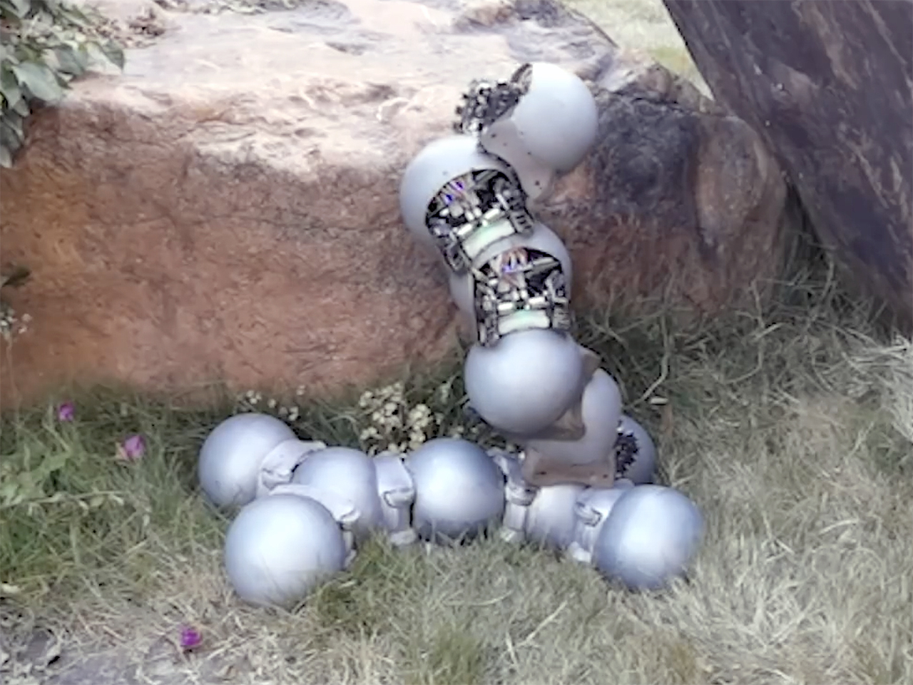 仲間と一緒にどこまでも！ くっついて移動するカタツムリロボット「Snail-inspired robotic swarms」 - bouncy ...