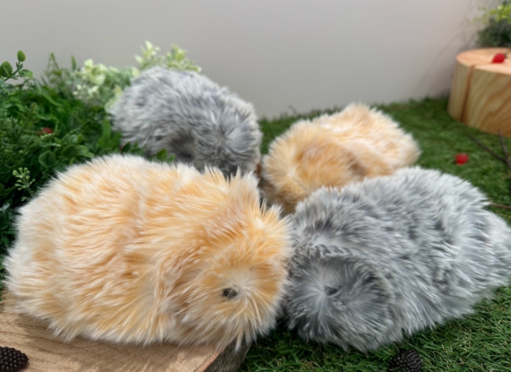 もふもふが可愛い！カシオからAIペットロボット「Moflin」登場 - bouncy / バウンシー