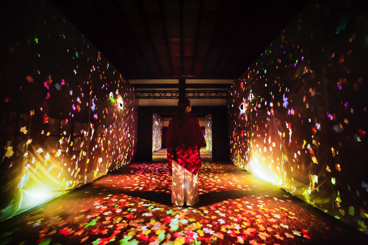 夜の京都二条城で、"花と伝統"をテーマに繰り広げる没入型イベント「FLOWERS BY NAKED」開催 - bouncy / バウンシー