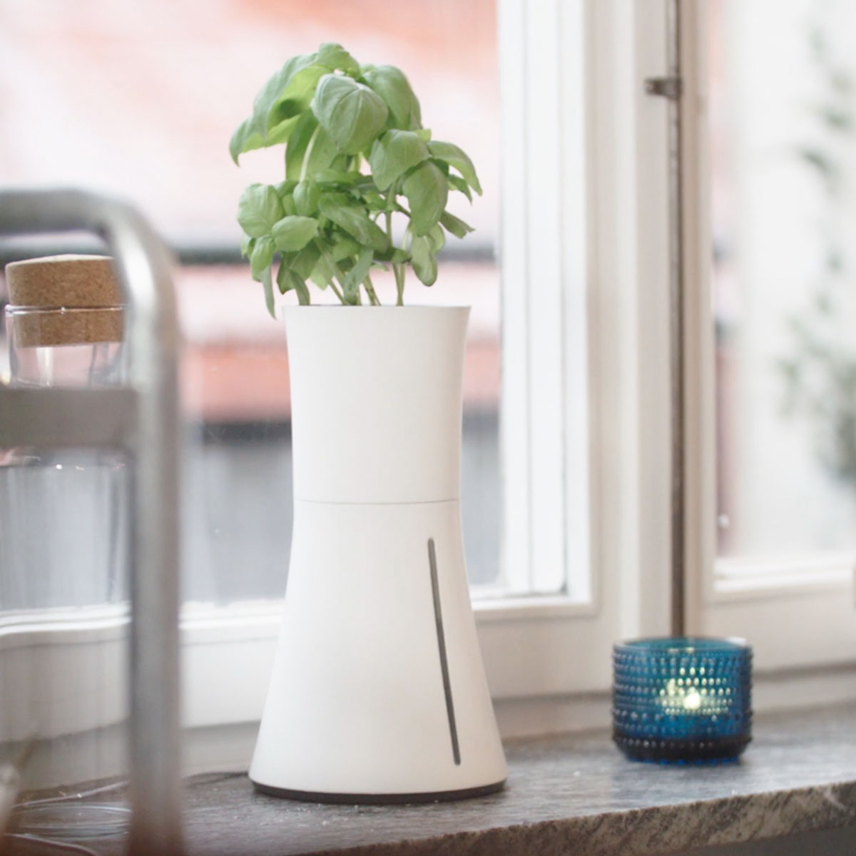 枯らす心配は無用？ 勝手に植物が育つ自動水耕栽培ポット「Botanium」 - bouncy / バウンシー