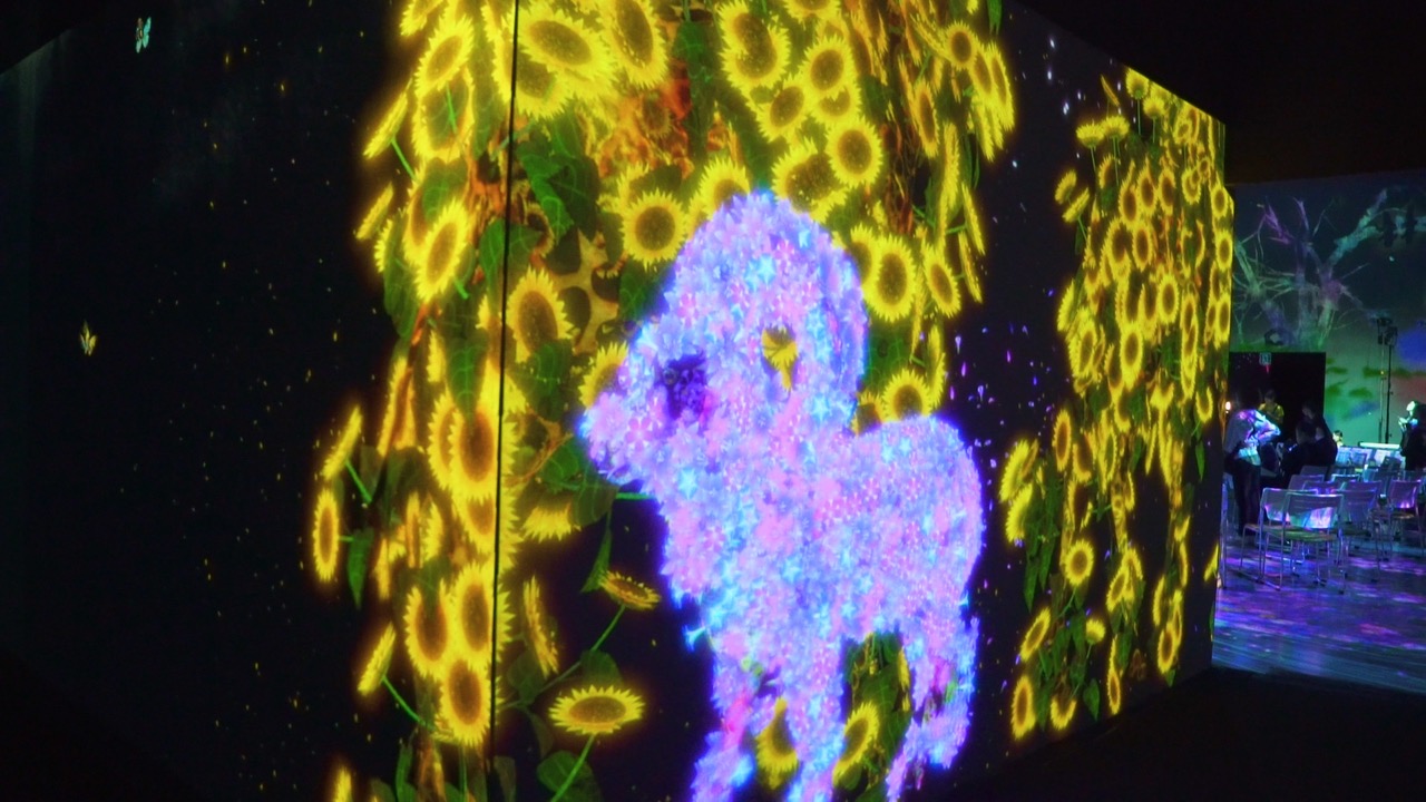 絵画も彫刻もない!? 新ジャンルのミュージアム「EPSON teamLab Borderless」がついに完成！ - bouncy / バウンシー