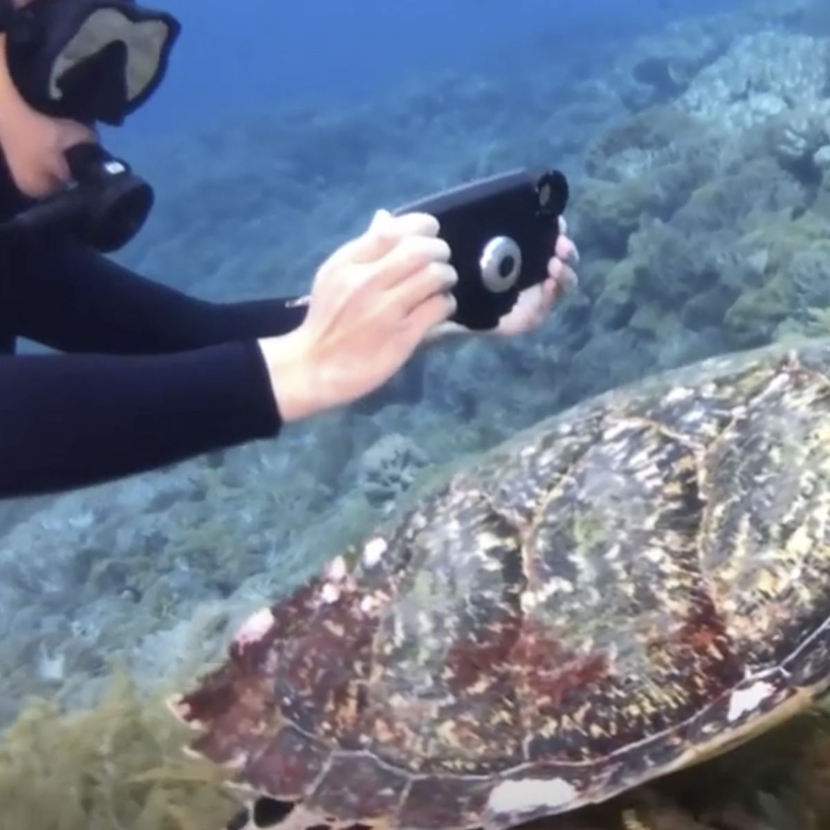 スマホを手軽に本格ダイビングコンピューターに変身させるアイテム「DIVEROID mini」 - bouncy / バウンシー