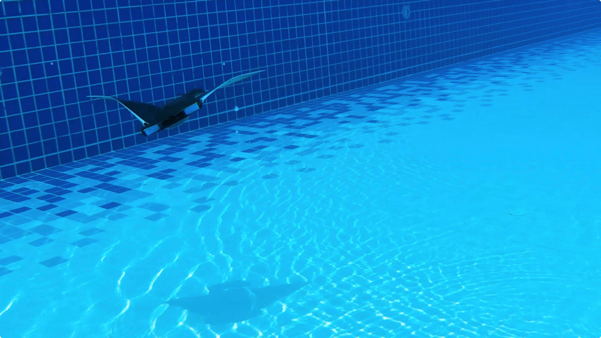 本物のマンタのように泳ぐ小型潜水ロボット「MantaDroid」 - bouncy / バウンシー